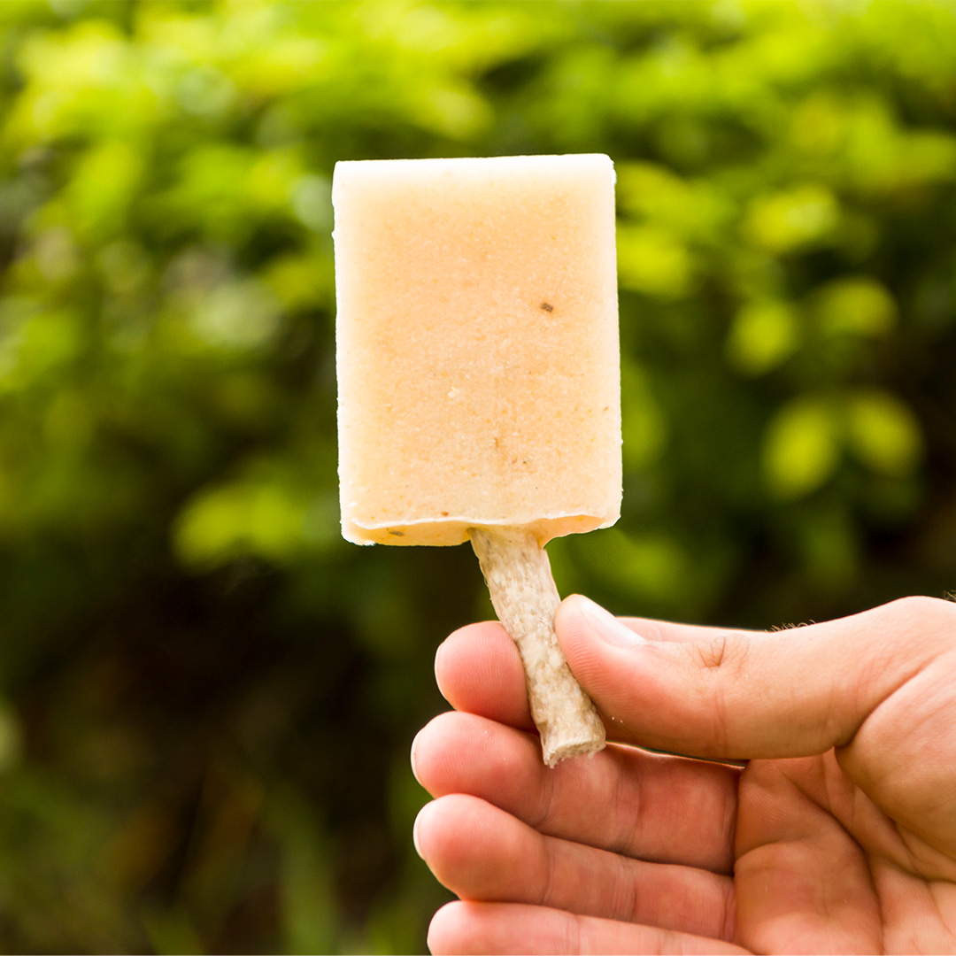 Helado de banano – HELADOCAN