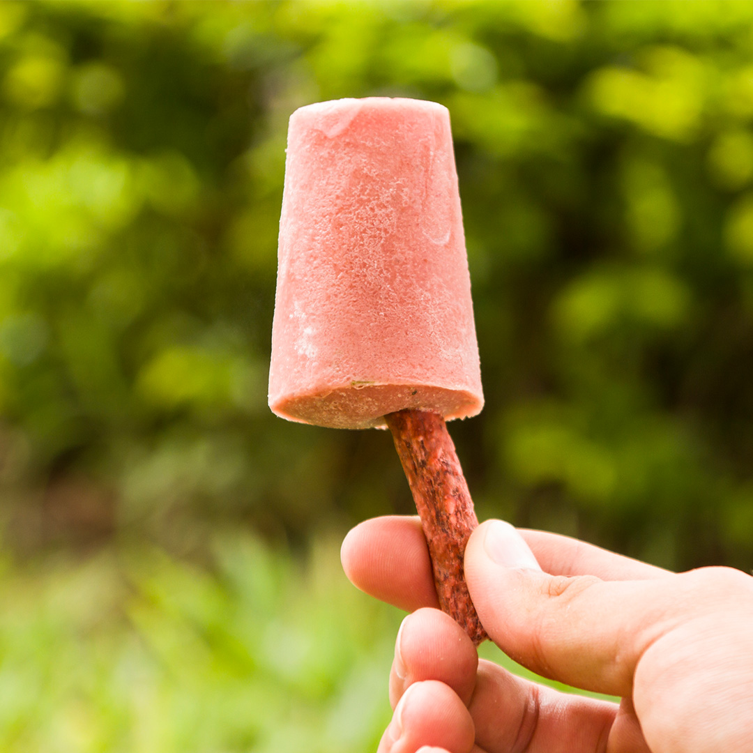 Helado de pollo – HELADOCAN